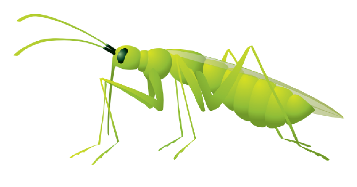 MACROLOPHUS PYGMAEUS - Fitosistema: Inovação - Confiança - Eficácia