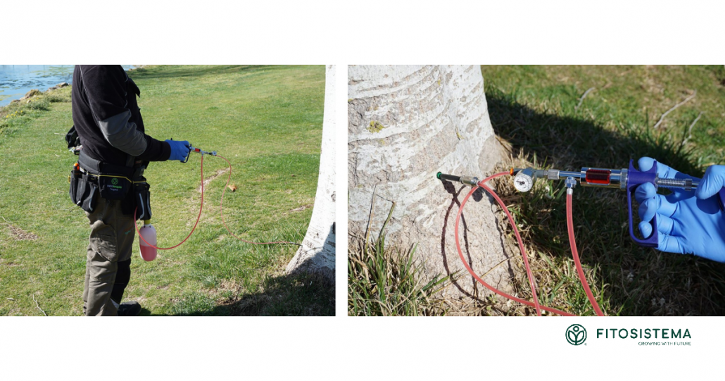 ENDOkit Manual® - injeção manual no tronco de PF e fertilizantes